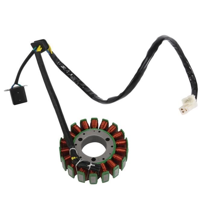SODIAL-Motorbike Bobine Moteur Stator Stator Bobine Fournitures p ...