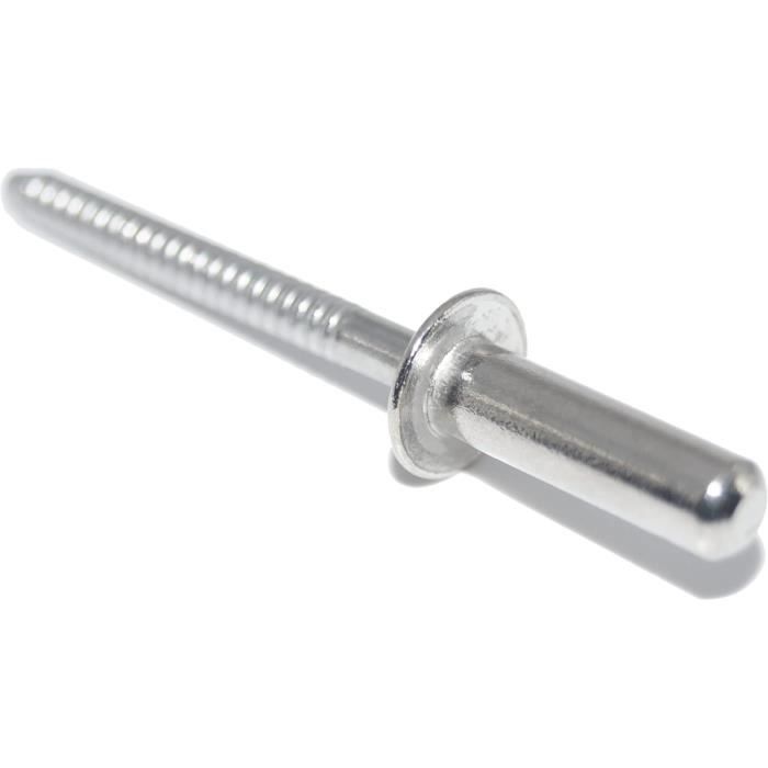 Lot De 100 Rivets D'Étanchéité En Acier Inoxydable A2 (V2A) Avec Tête ...