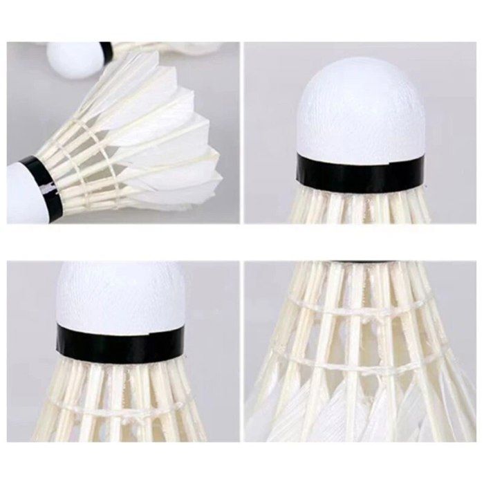 Volants Badminton professionnels en plumes canard,accessoires Sport ...