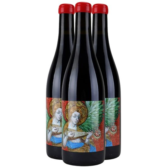 Domaine de l'Ecu Virtus 2020 - Vin de France - Vin Rouge (3x75cl) BIO ...