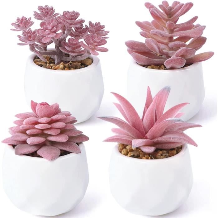 ALAGIRLS Lot de 4 Mini Plantes Grasses artificielles décoratives d ...