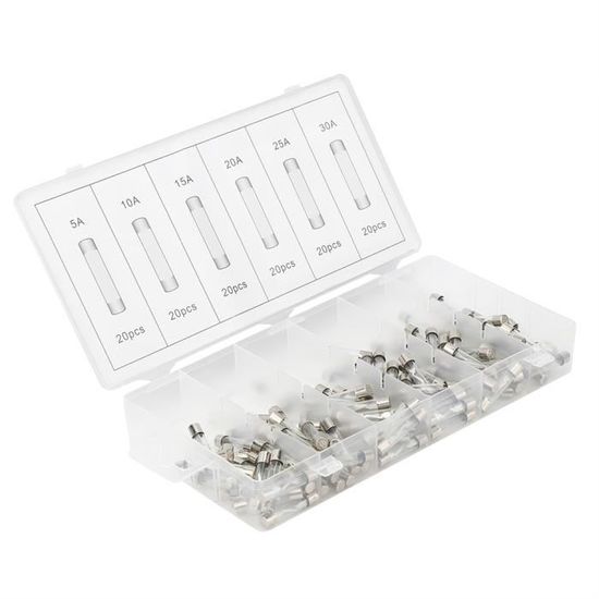 DEX Fusible à tube de verre 120 pièces assortiment de fusibles en verre à coup rapide fusible à ...