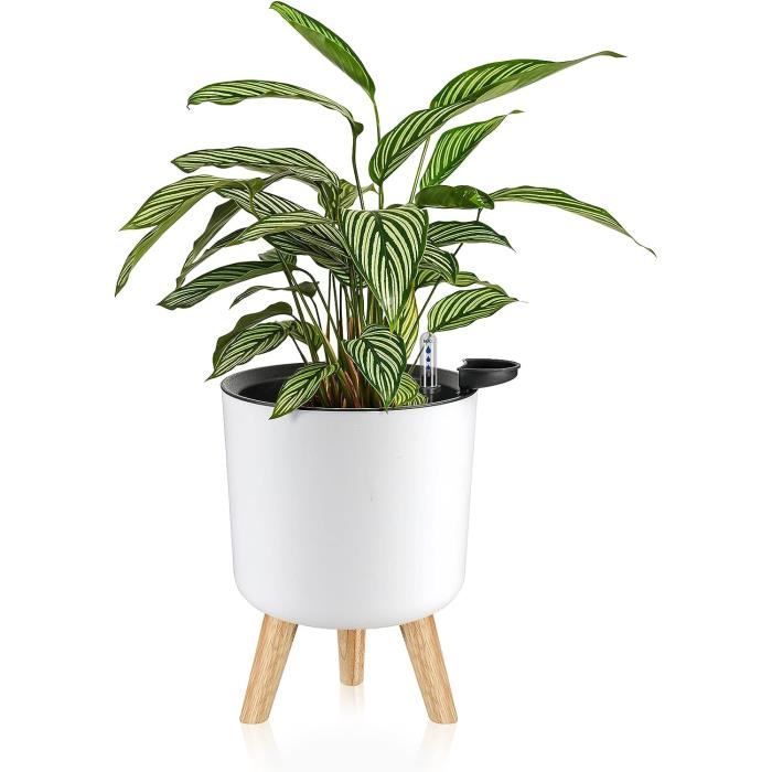 Pots À Plantes, Auto-Irrigants, 20 Cm De Diamètre, Avec Support, Grands ...