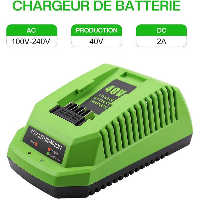 Chargeur 40V Li-ion de remplacement G40C pour Greenworks - Cdiscount Jardin