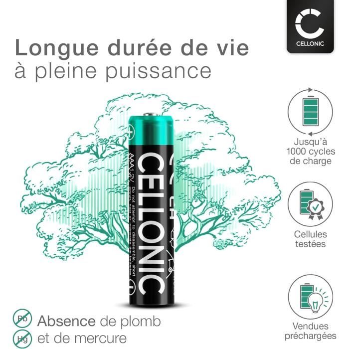 Piles Rechargeables Aaa - 1000Mah - Préchargées, Durables, Longue Durée De Vie - 2X Accus ...