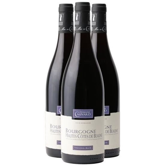 Bourgogne Hautes Côtes de Beaune Rouge 2021 - Lot de 3x75cl - Domaine ...