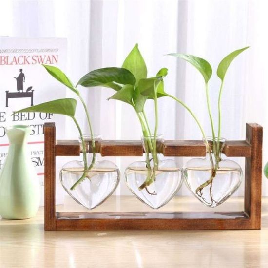 WE20237-Jardinière en verre et bois pour terrarium. pot de fleurs ...