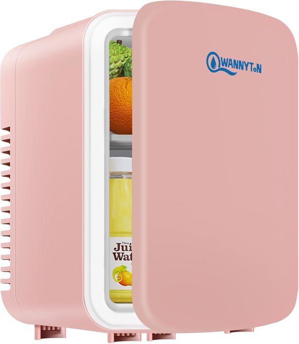 4L Mini Frigo,Petit Réfrigérateur Portable,Réfrigérateur Cosmétique ...