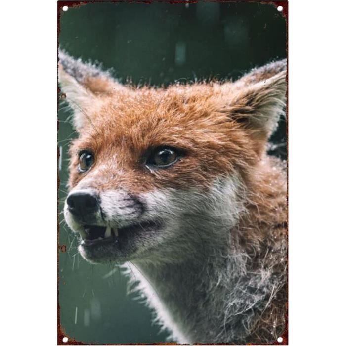 Poster Métallique Affiche,Renard des Animaux de la forêt,Peinture Art ...