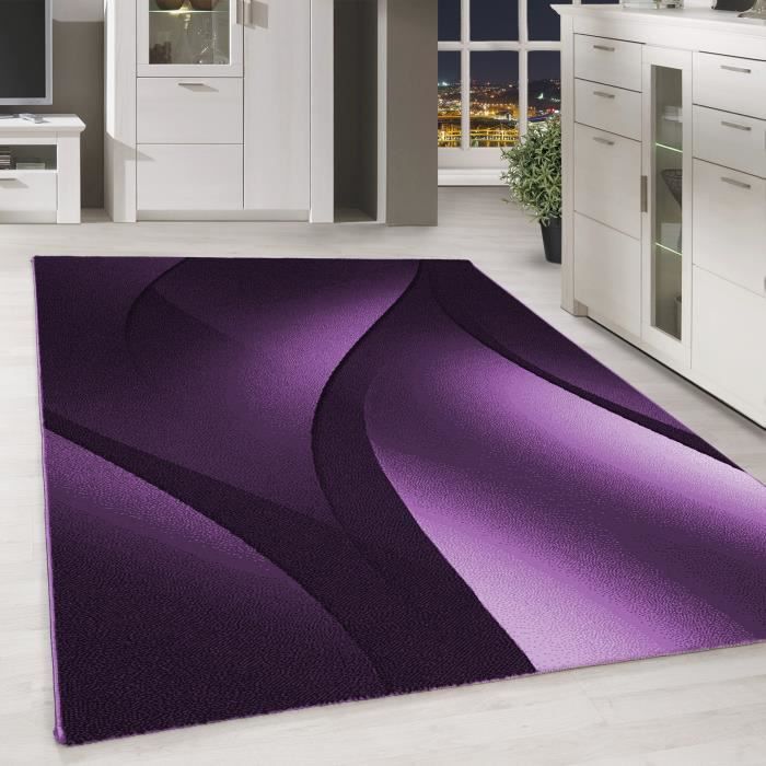 Tapis Modern Salon - ADRIENNE - Violet - 80 x 150 cm - 100% ...