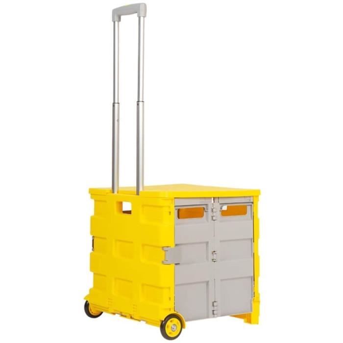 LICHUAN Chariot de Courses Portable Pliant Chariots de Courses Caddie ...