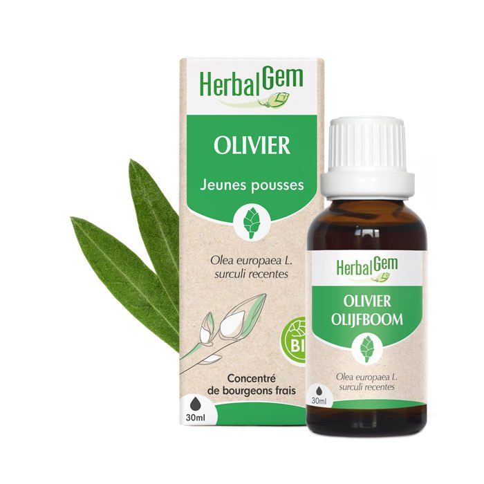Herbalgem Macérat Concentré Olivier Bio 30ml - Cdiscount Santé - Mieux ...