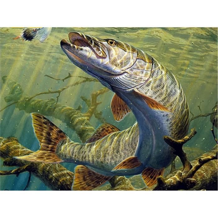 5D Diamond Painting Poissons Animaux,Diy Broderie Diamant Kit Complet ...