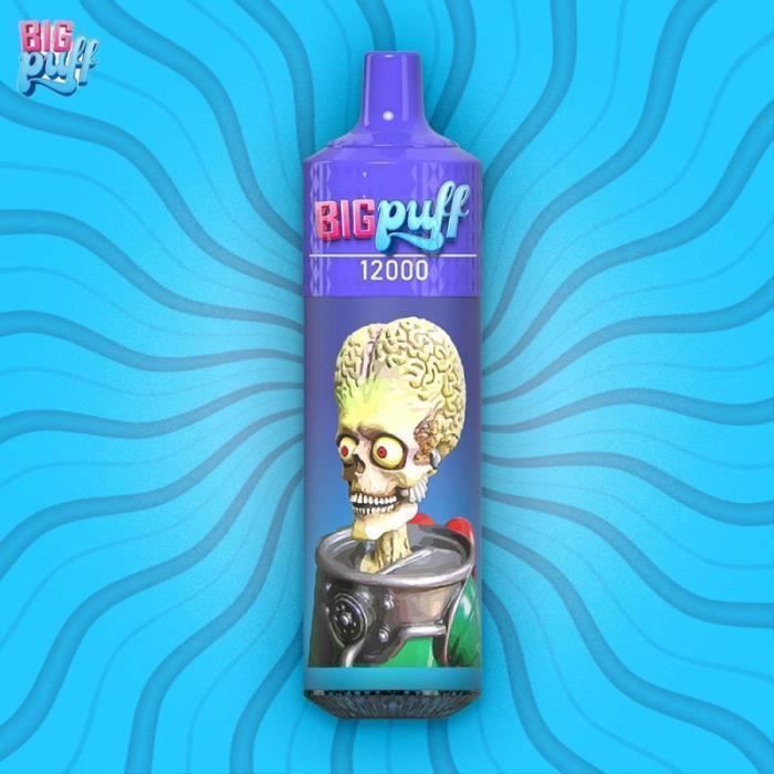 Blueberry Ice 12000 puffs - Big Puff 0% NICOTINE - Cdiscount Au quotidien
