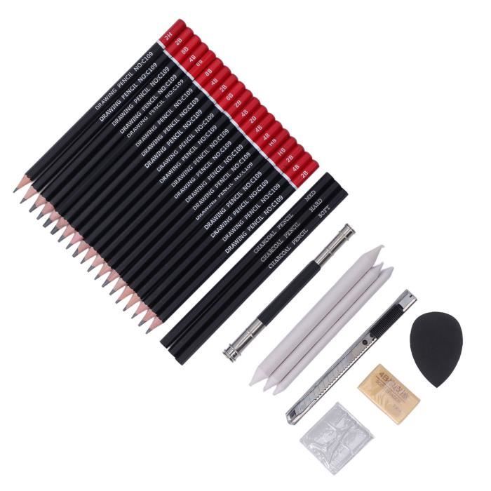 LEX kit de dessin de croquis Ensemble de croquis,crayon à charbon ...