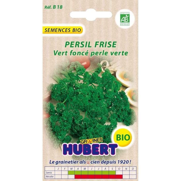 Graines De Persil Frisé Perle Verte Bio - 3 Grammes[z2780] - Cdiscount ...