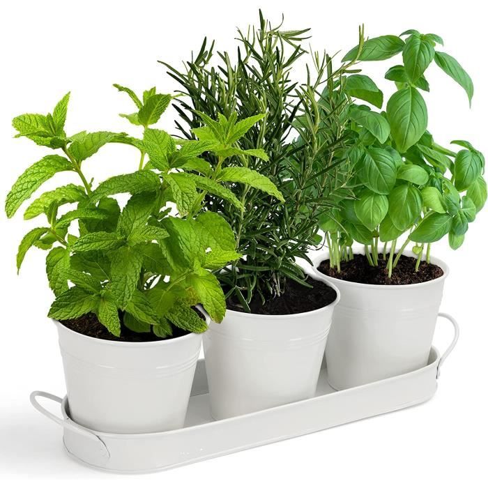 BELLE VOUS Pots à Herbes avec Plateau (Lot de 3) - Pot de Fleur Metal ...