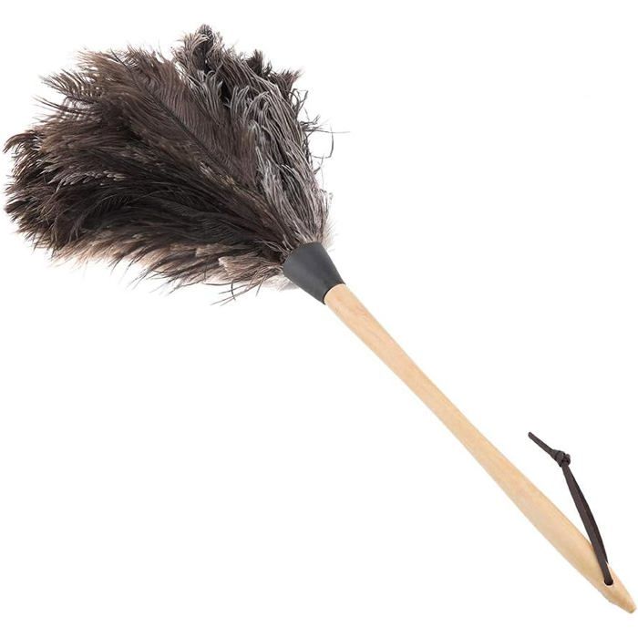 Plumeau en Plumes D'autruche, Plumeau en Plumes D'autruche Non ...