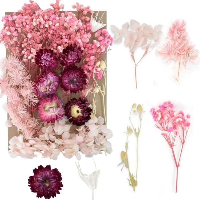 Fleur Sèche Naturelle, Naturelles Fleurs Séchées, Séché Fleurs ...