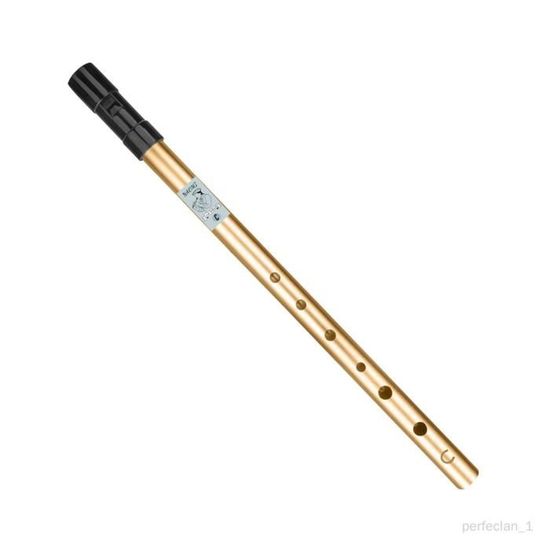 Instrument de musique sifflant flûte traditionnelle, sifflet Penny ...