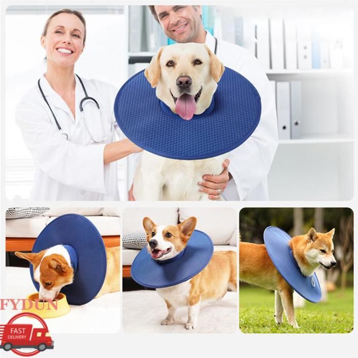 FYDUN Collier de cône de chien Collier conique pour chien, polyvalent ...