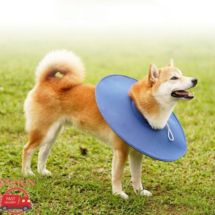 FYDUN Collier de cône de chien Collier conique pour chien, polyvalent ...