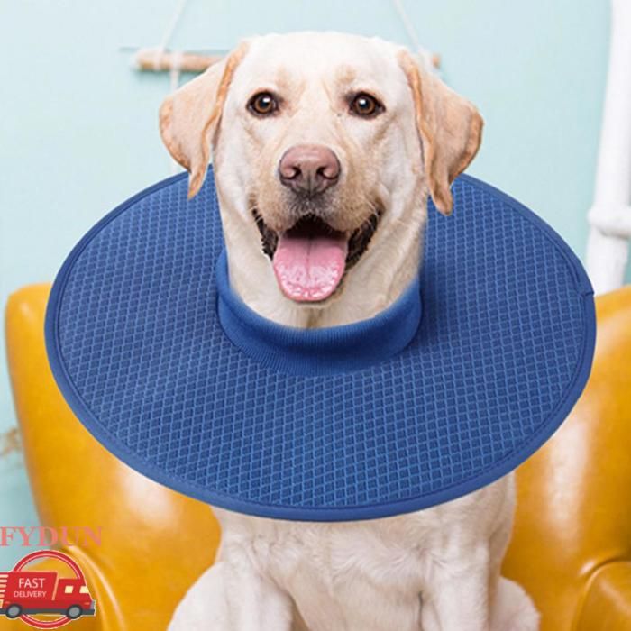 FYDUN Collier de cône de chien Collier conique pour chien, polyvalent ...