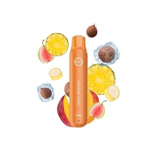 FLAWOOR - 2x KIT FLAWOOR MATE Fruits Tropicaux - (20mg) - Cdiscount Au ...