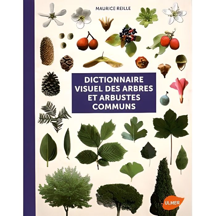 Dictionnaire visuel des arbres - Cdiscount Librairie