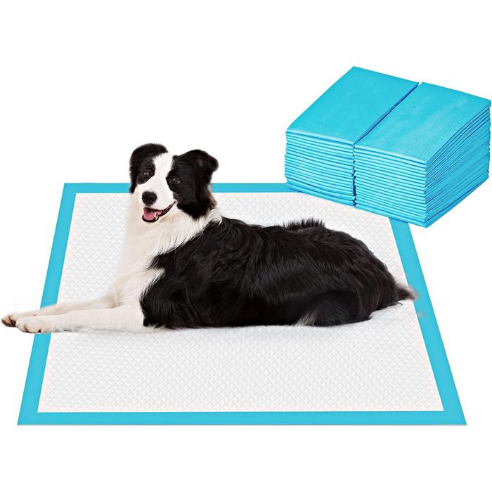 Tapis de dressage pour chien, tapis absorbant et étanche, jetable, pour ...
