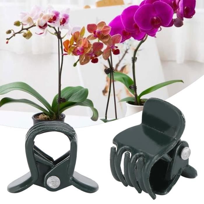 Pince à plante de 0,6 x 0,4 po, pince de plante en plastique de haute ...