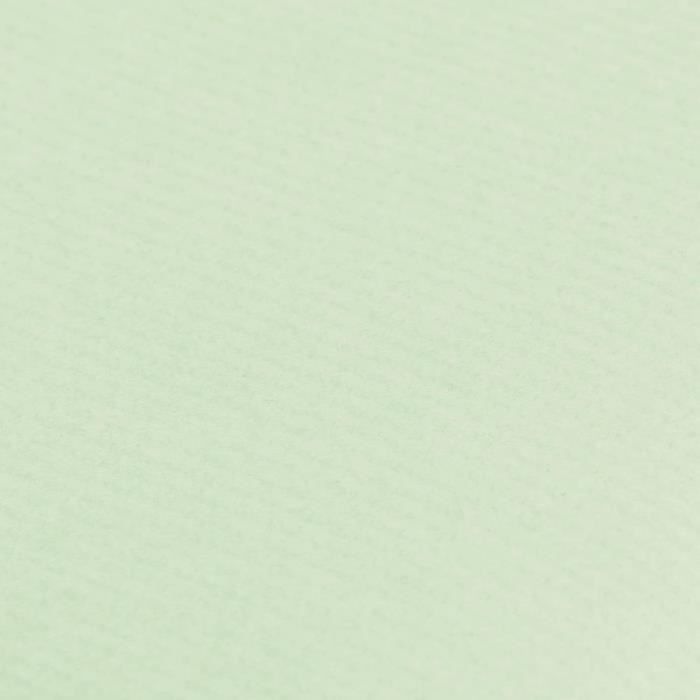 195721C - Un Rouleau Kraft Papier Vergé - Couleur : Vert Bourgeon ...