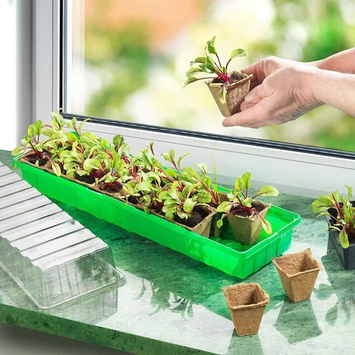 10 Pièces Plateau Semis Réutilisable Godet Semis Biodegradable,Pots en ...