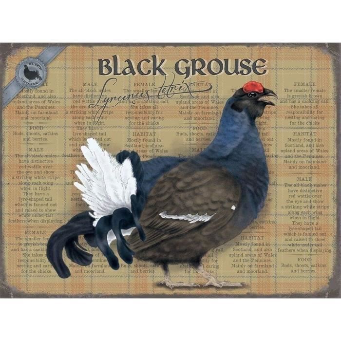 Nostalgic-Art Plaque Rétro En Étain Avec Faisan Perdrix Noir 20 X 30 Cm ...