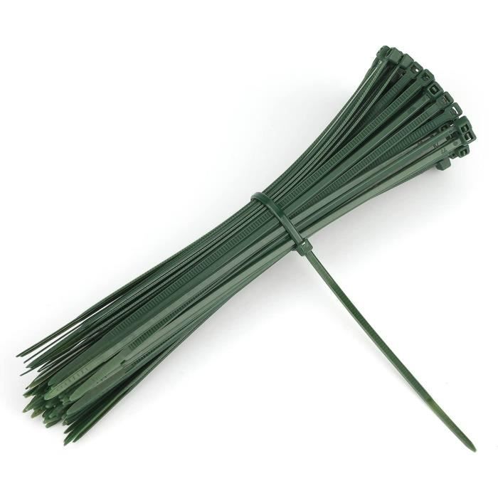 KINGLAKE Lot de 100 Attaches de câble autobloquantes en Nylon Vert ...