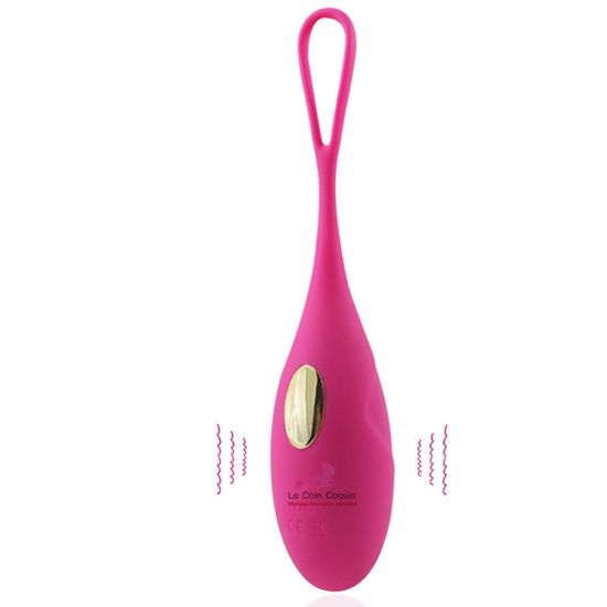 LCC® oeuf vibrant telecommande sans fil silencieux femme sexuel homme a distance rechargeable ...