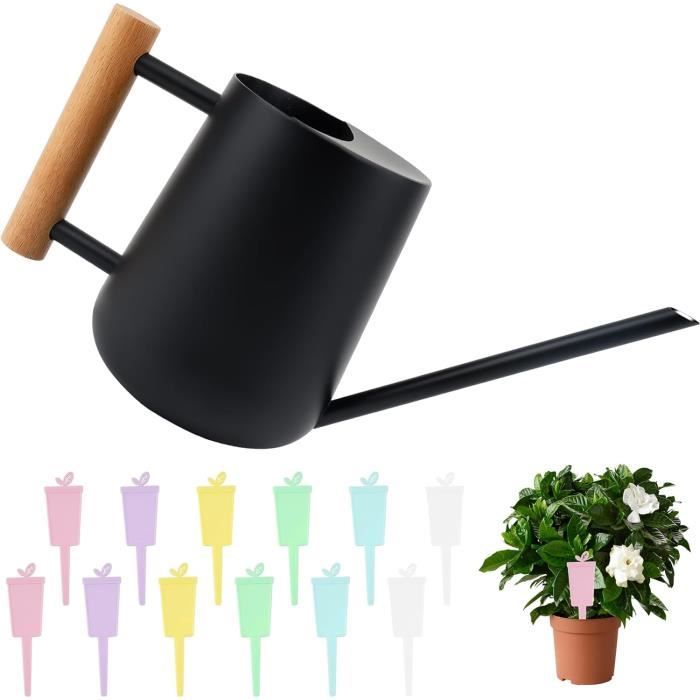1L Arrosoir Plante Interieur Noir, Petit Arosoir à Long Bec en Acier Inoxydable, Arosoir de ...