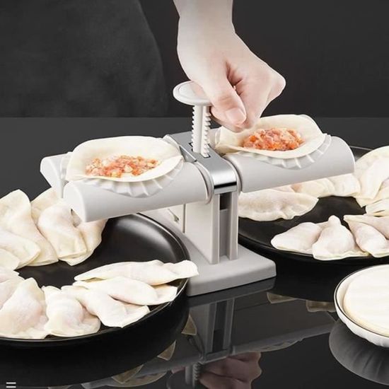 MACHINE A PATES Presse à boulette moule de fabricant de boulette ...