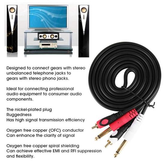 EJ.life Ligne Pour 2RCA à Double 6.35 Interface Guitar Line Double ...