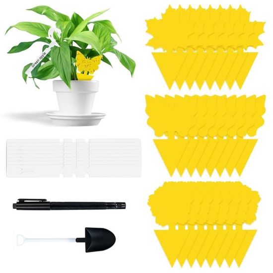 120 Pièces de Pièges à ctes, Anti moucherons, Pièges Engluées ...