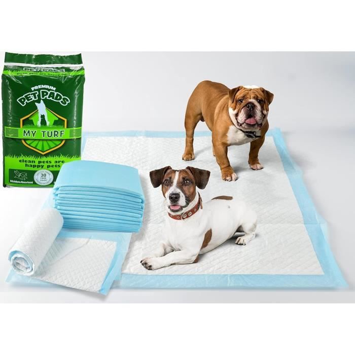 Coussinets Jetables Super Absorbants Pour Chiots | 6 Couches De ...