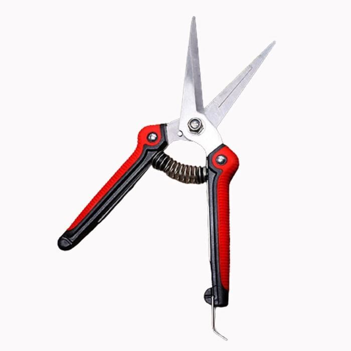 Sécateur À Micro-Pointes Sécateur À Main Et Ciseaux De Jardin pour ...