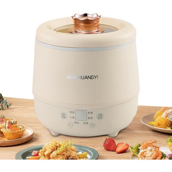 Cuiseur À Riz Compact, Mini Cuiseur À Riz 1,8 L 300 W Pp Pour La Maison ...