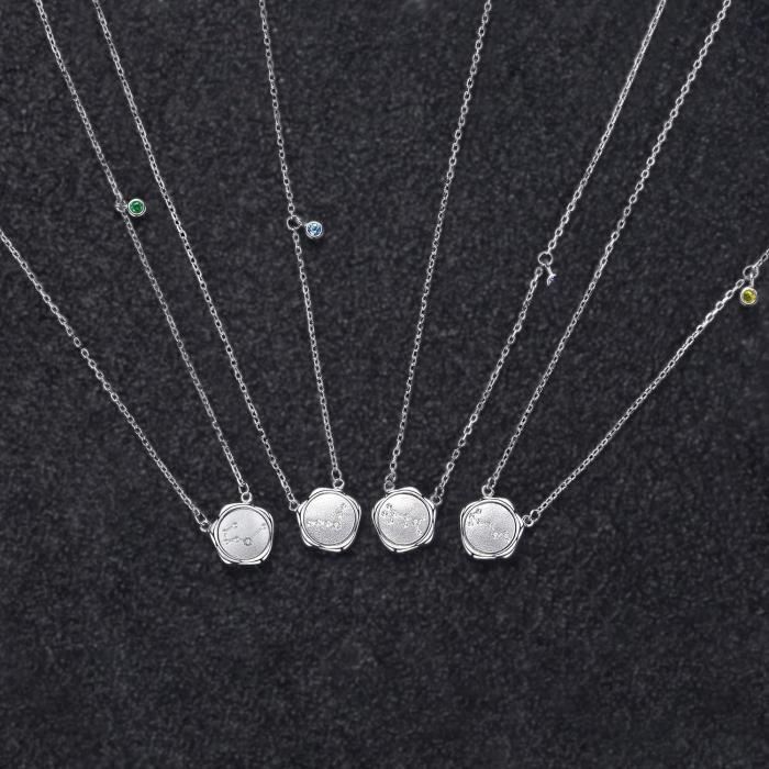 Collier Pendentif Argent De 12 Signes Du Zodiaque Astrologique Idée ...