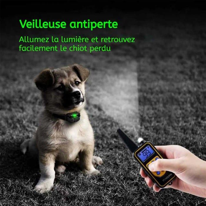 Collier de dressage pour animaux - T'CHOUPIN- collier de dressage 3 ...