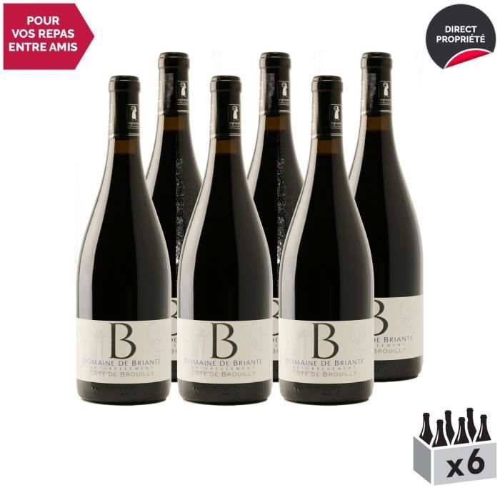 Côte de Brouilly Les Muses Rouge 2014 - Lot de 6x75cl - Domaine de ...