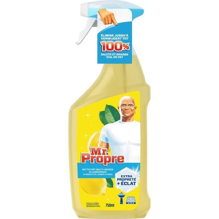 Ultra Spray Nettoyant Multi U s, 10 Unités (10 x 500ml), Désinfectant ...