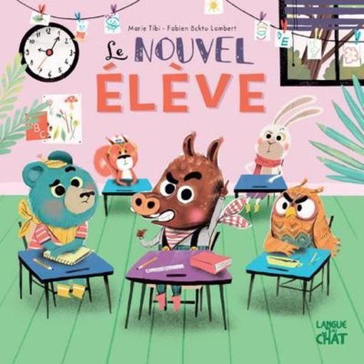 Livre - Le nouvel élève - Coin joli - Vilain - Grimaces - Harcèlement ...