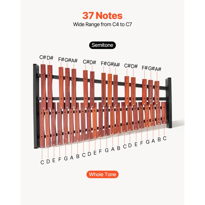 Xylophone 37 Notes-VEVOR-Instrument de Percussion Professionnel en Bois ...