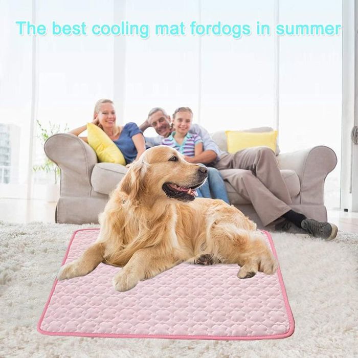 Tapis Rafraîchissant pour Chien & Chat – Sans Eau, 50x40 cm – Bleu/Rose ...